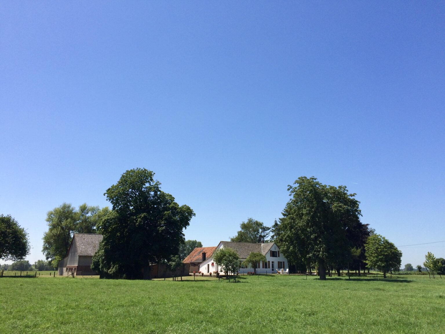 - The Brauer Institute for Holistic Medicine